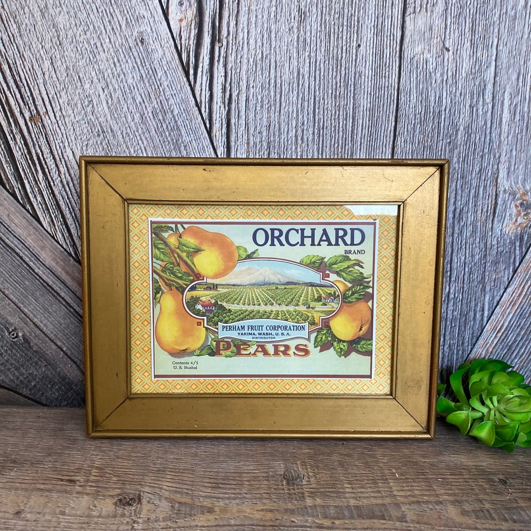 Vintage Orchard Pears Print, Perham Fruit Corporation Yakima Wash ...