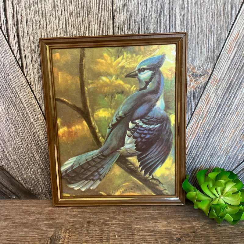 Blue Jay Print - Etsy
