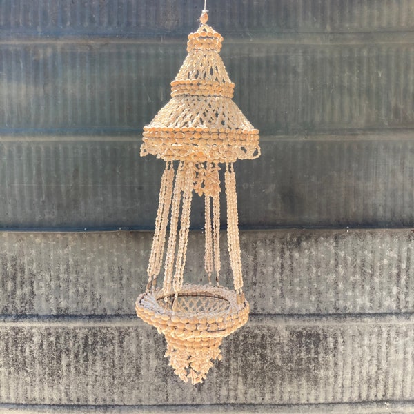 Seashell Chandelier - Etsy