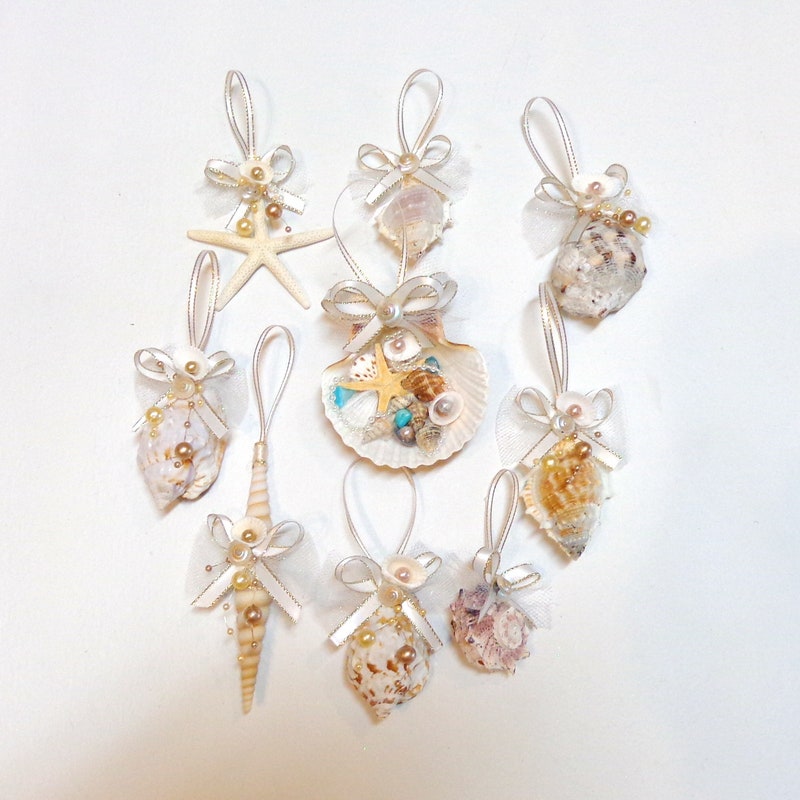 Real Seashells - Etsy