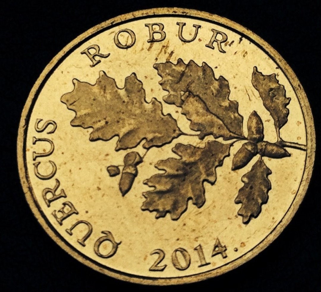 5 LIPA 2014 Uncirculated Coins Croatian Coin - Etsy