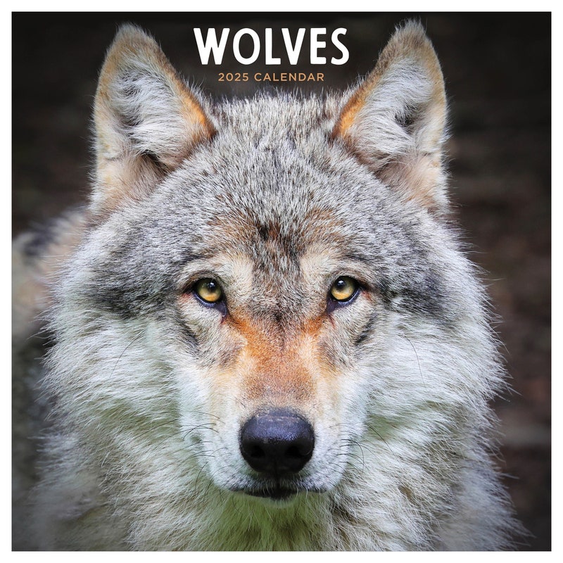 Desk Calendars Wolf - Etsy
