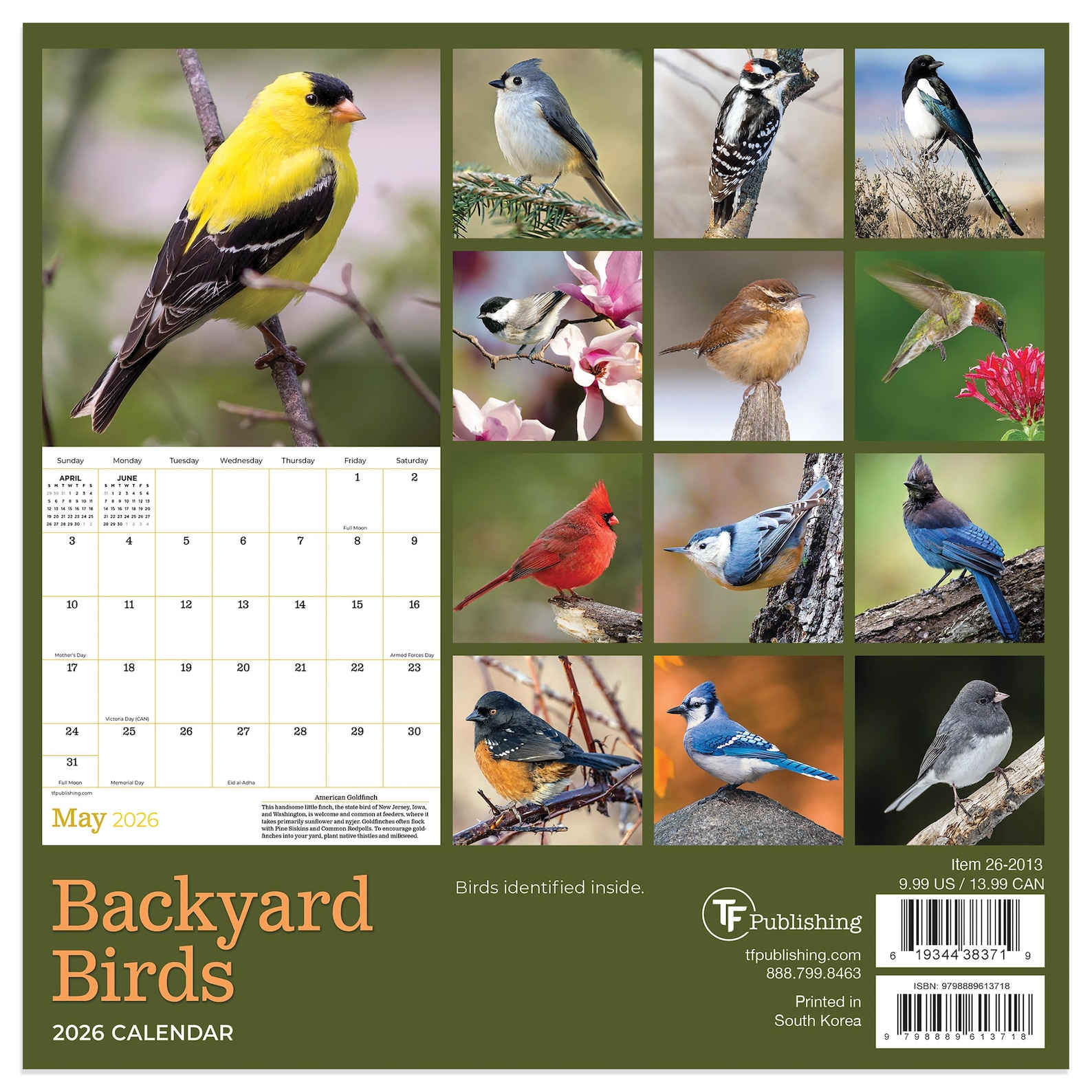 2026 Backyard Birds Mini Calendar FINAL SALE - Etsy