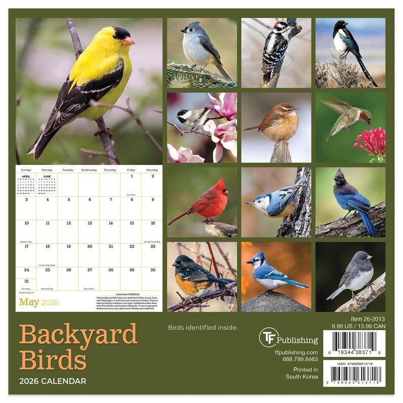 2026 Backyard Birds Mini Calendar FINAL SALE - Etsy