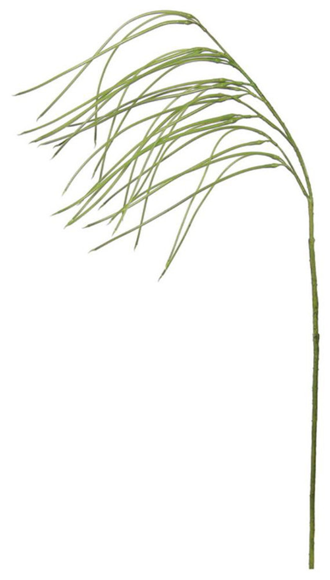 Pencil Grass Spray 42in Green ARTIFICIAL - Etsy