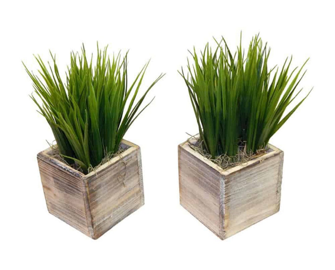 ARTIFICIAL Grass in Wooden Containers - Set of 2 - 10" ARTIFICIAL - Etsy