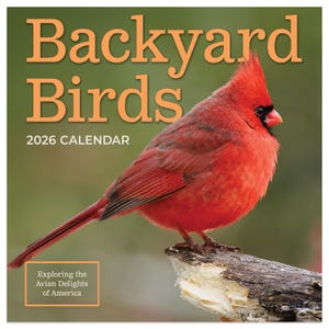 2026 Backyard Birds Mini Calendar FINAL SALE - Etsy