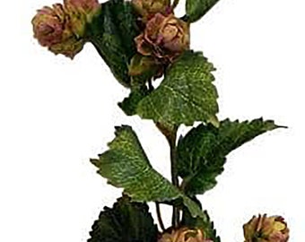 Hops, Silk Flowers, Beer Hops, Artificial Plant, Artificial Flower ...