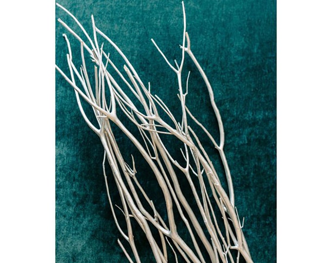 Mitsumata Branches Pack of 5 Branches 40in Silver - Etsy