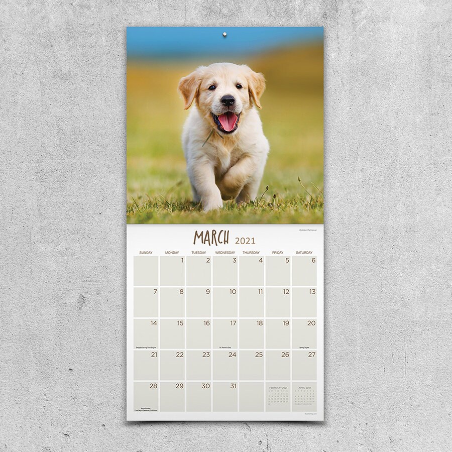 2021 Puppies Wall Calendar 12x12 | Etsy