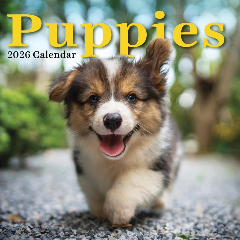 Puppies Calendars 2026 - Etsy