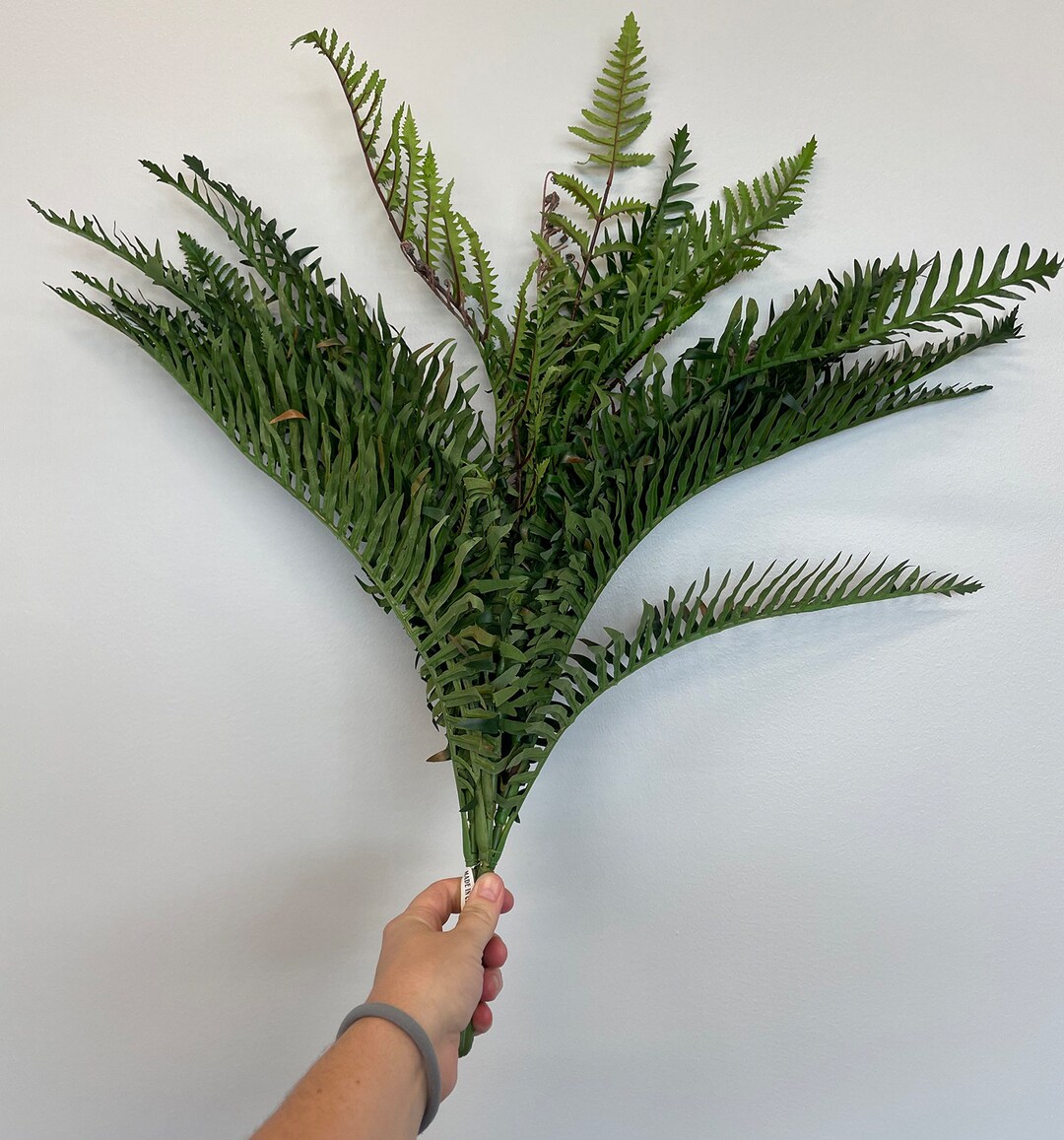 River Fern Bush 5 Stems 25in Green ARTIFICIAL - Etsy