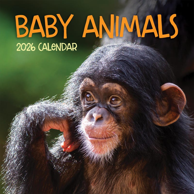 2026 Animal Calendars - Etsy
