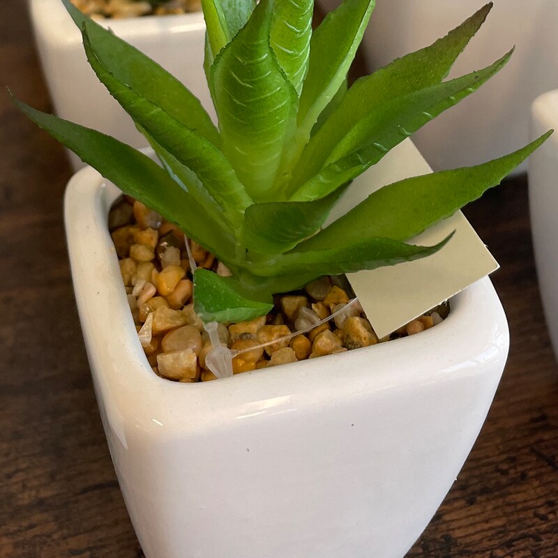 Succulent Pots Set Etsy