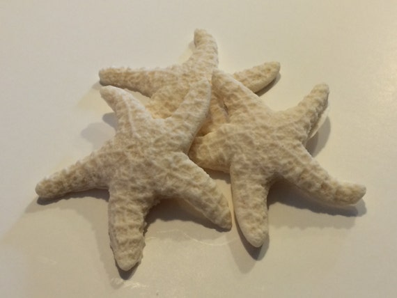 Oatmeal Starfish Soaps Luxurious Oatmeal Soap. | Etsy
