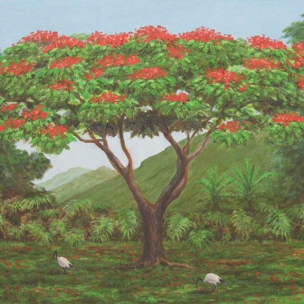 Flame Tree - Etsy