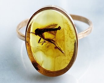 Amber Insect Ring - Etsy