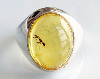 Insect Amber Ring - Etsy