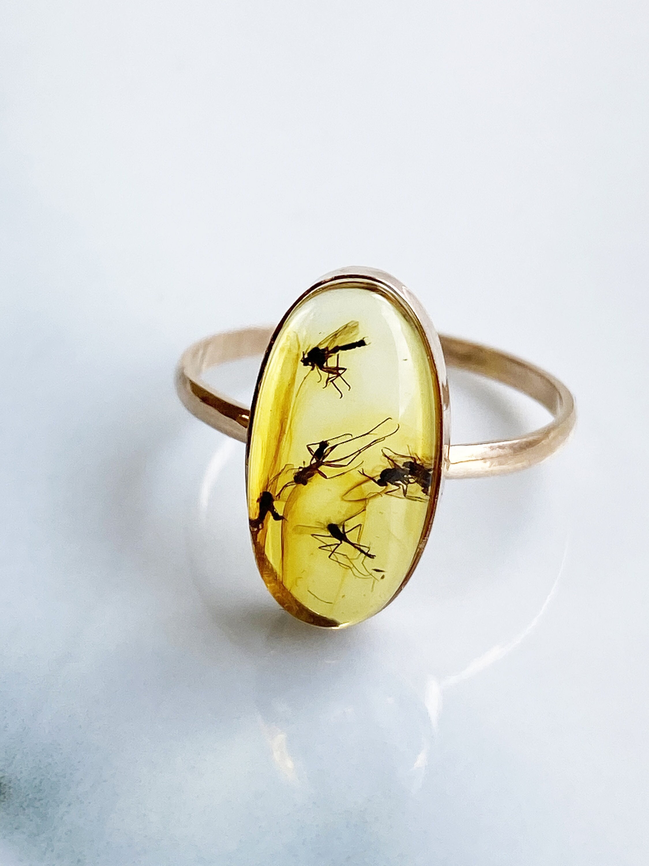 Order online glowing and clear 6 piece small size real insect rings ...