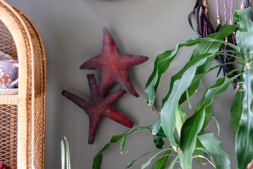 Star Fish | Wall Decor | Home Decor | Beach Home Decor | Unique Gift ...