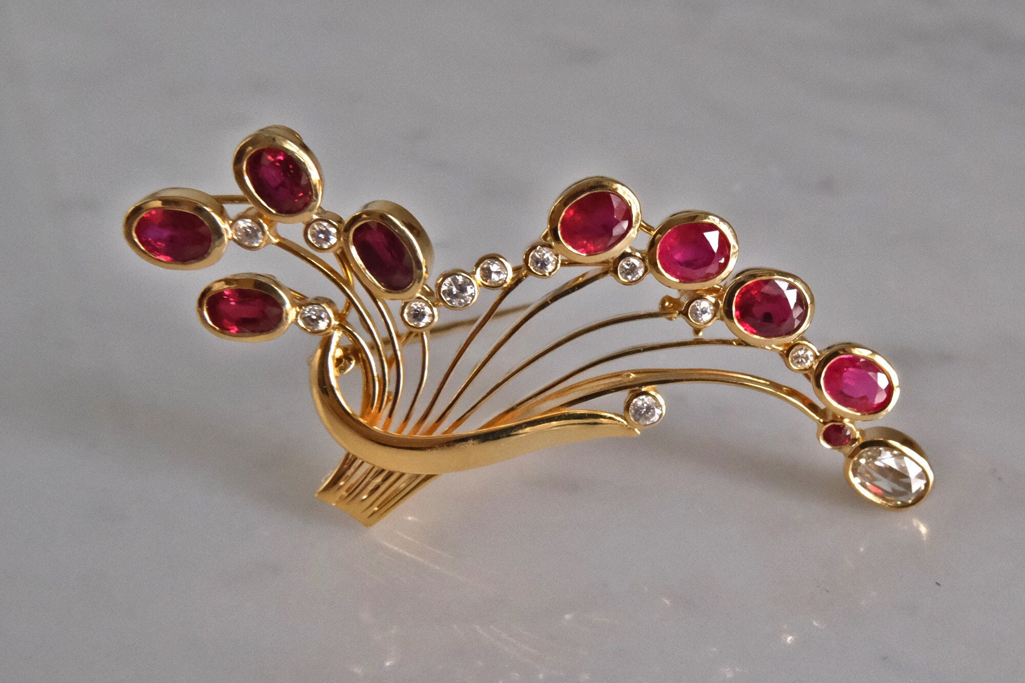 Ruby brooch jewelry store