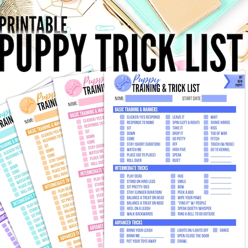 Service Dog Training and Task List PDF - Etsy
