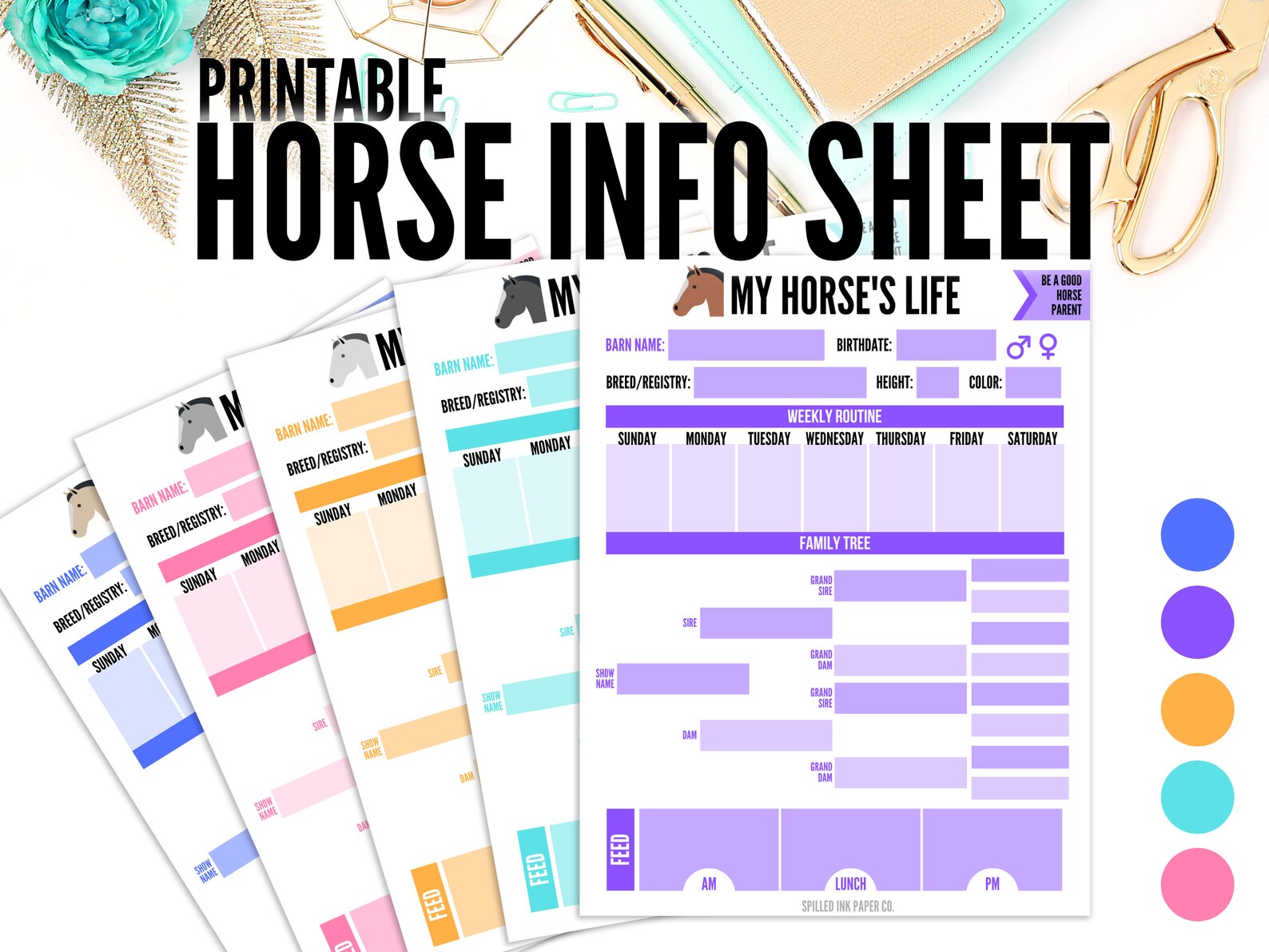 Printable Horse Info Sheet | Printable Stall Sign | Horse Management ...