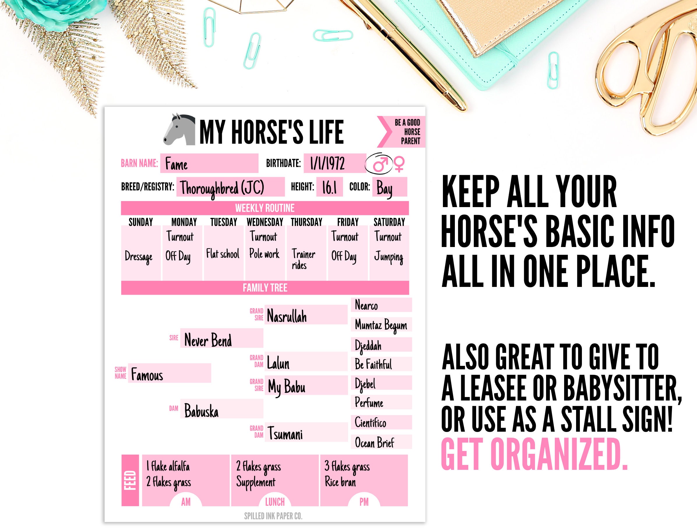 Printable Horse Info Sheet | Printable Stall Sign | Horse Management ...