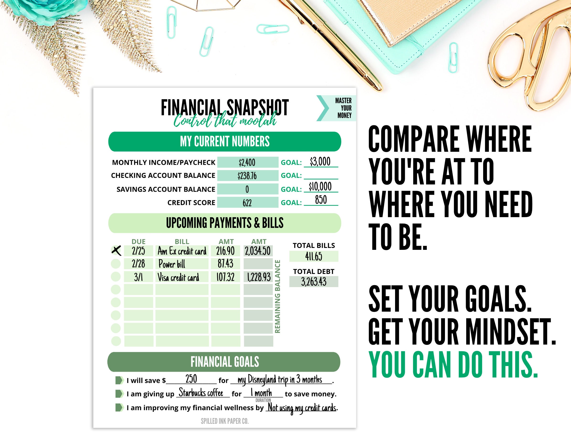 Financial Snapshot Printable | Master Your Money Planner | Printable ...