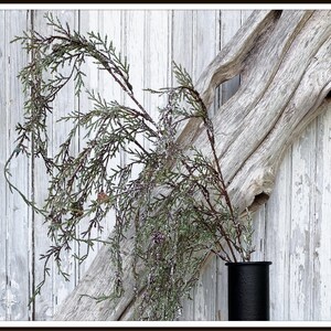 Artificial Weeping Cedar Snow Branch. Stem. 34. Mini Pinecones ...