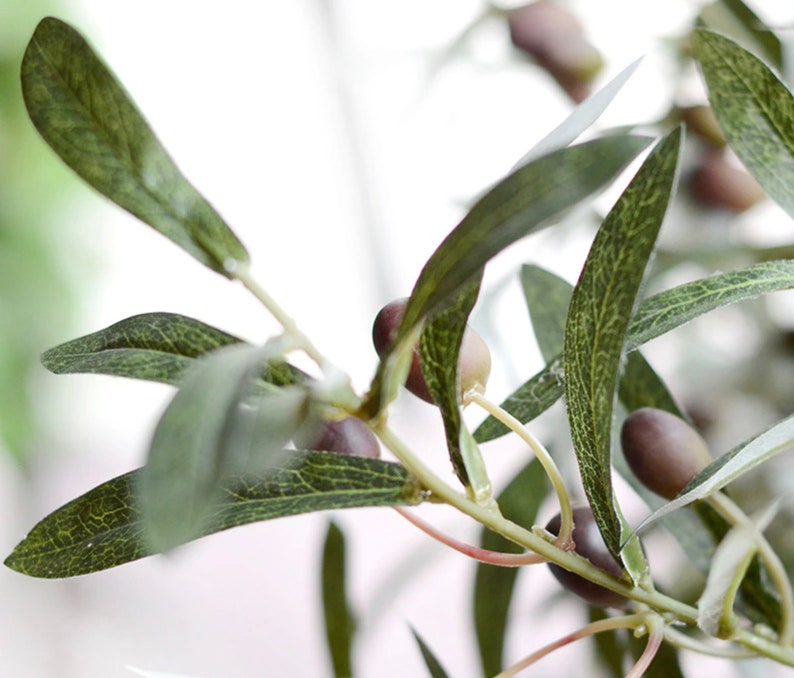 Artificial Olive Branch Stem Realistic With Olives 28" Long Silk Floral ...