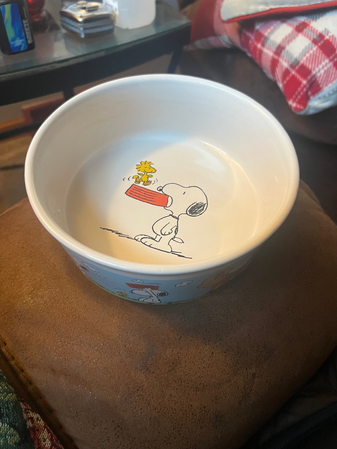 Peanuts Snoopy Woodstock Charlie Brown Round Pet Meal Water Stoneware ...