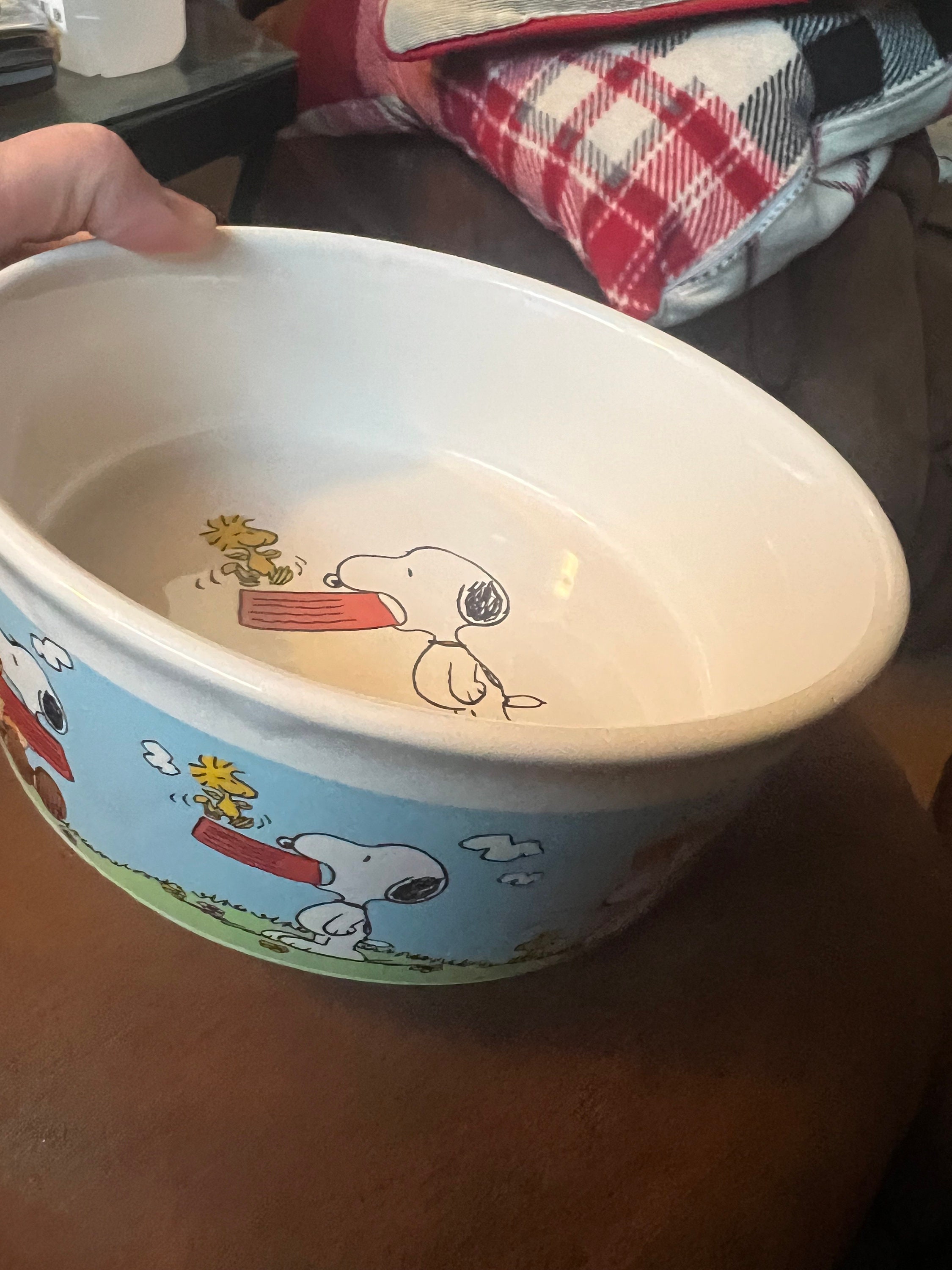 Peanuts Snoopy Woodstock Charlie Brown Round Pet Meal Water Stoneware ...