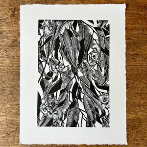Eucalyptus, Original Linocut Print, Hand Printed, Signed - Etsy