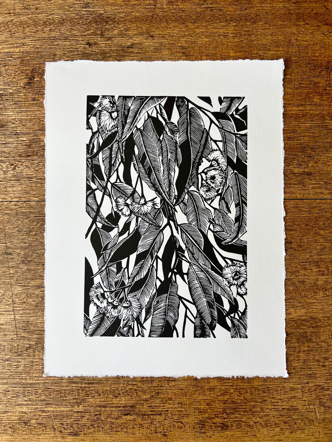 Eucalyptus, Original Linocut Print, Hand Printed, Signed - Etsy