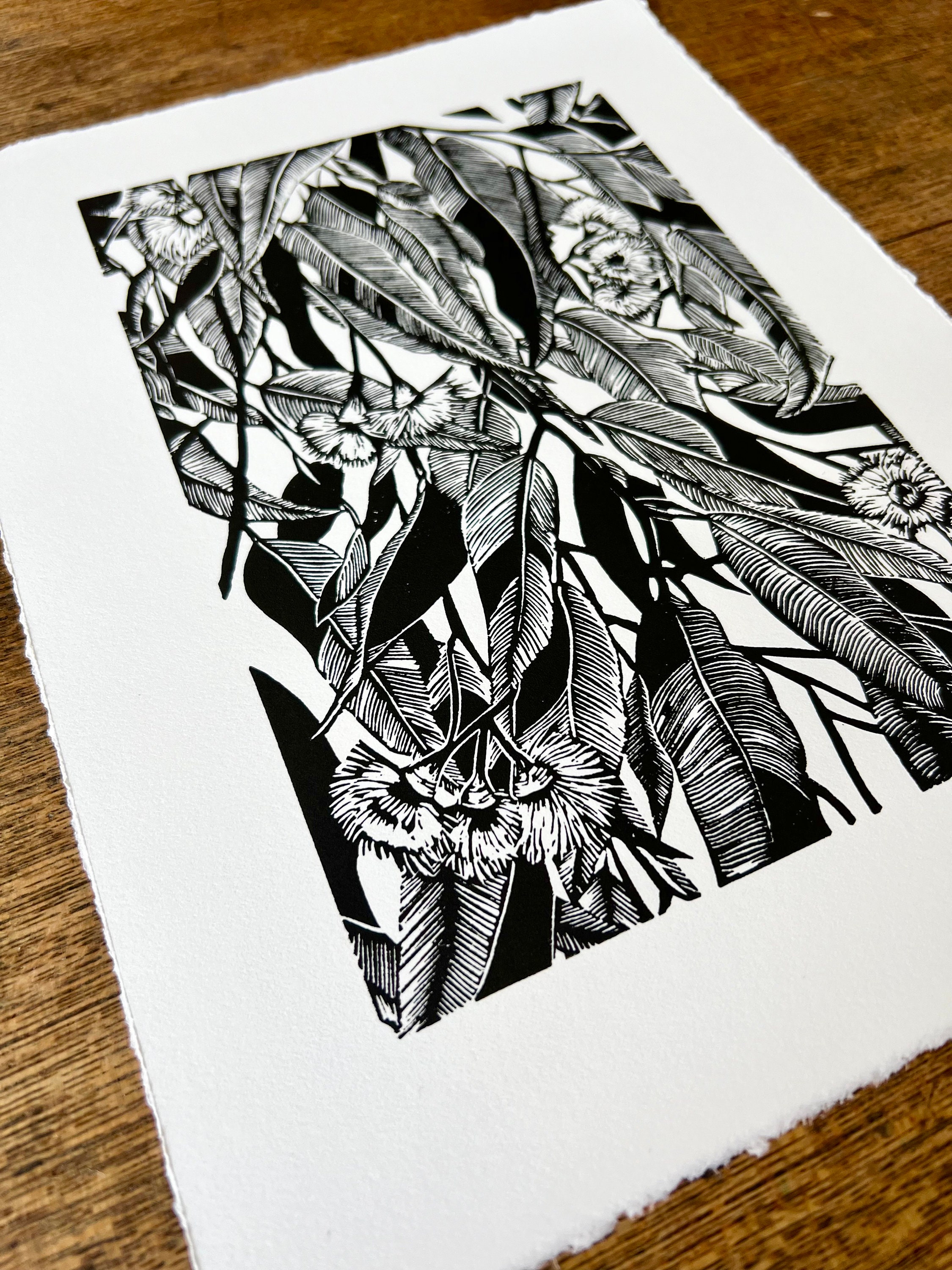 Eucalyptus, Original Linocut Print, Hand Printed, Signed - Etsy