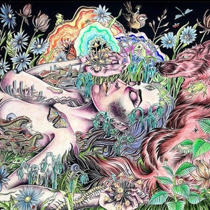 Bone Art, Suncatcher, Wall Hanging, Gothic Decor, Witchcraft Supply, Oddities, Healing Crystals ...