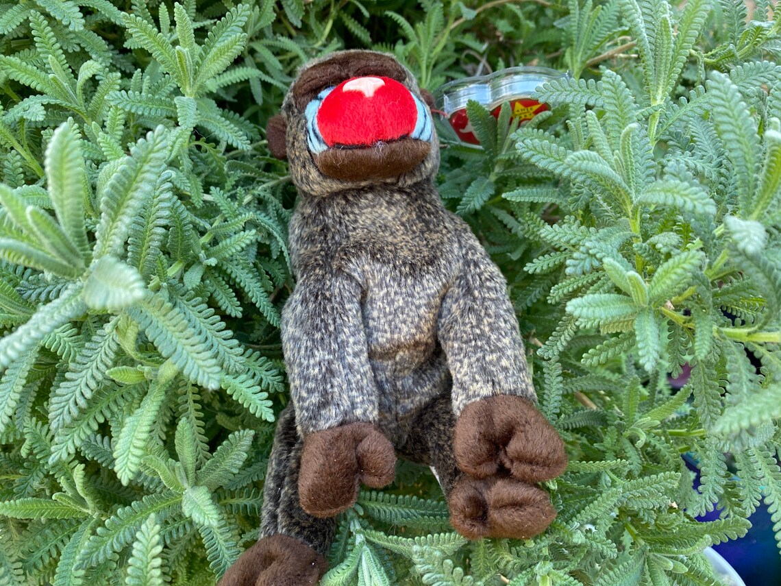 Ty Beanie Babies Cheeks Baboon,collectible Beanie Baby - Etsy