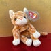Ty Beanie Babies Amber,the Cat,collectible Beanie Babies 1999 - Etsy