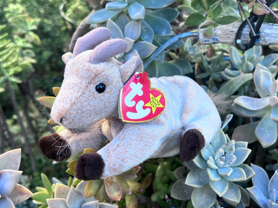 Vintage Ty Beanie Babies Goatee the Goat,with Tag Retired,stuffed ...