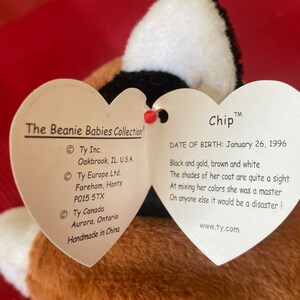 Ty Beanie Babies Chip the Cat,collectible Beanie Babies,cute Beanie ...