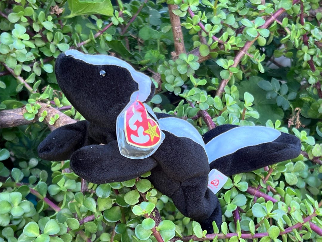 Ty Beanie Babies Stinky the Skunk,collectible Beanie Baby 1995 - Etsy