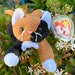 Ty Beanie Babies Chip the Cat,collectible Beanie Babies,cute Beanie ...