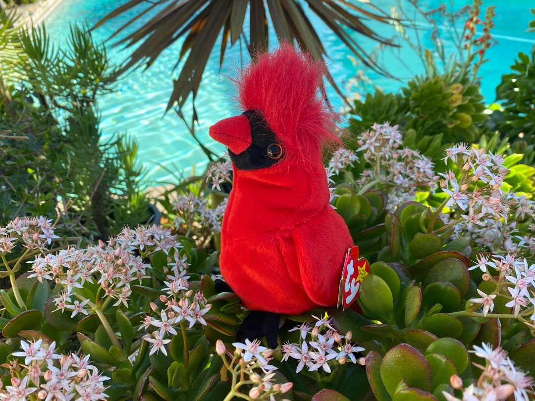 Ty Beanie Babies Mac the Cardinal,collectible Beanie Babies,cute Beanie ...