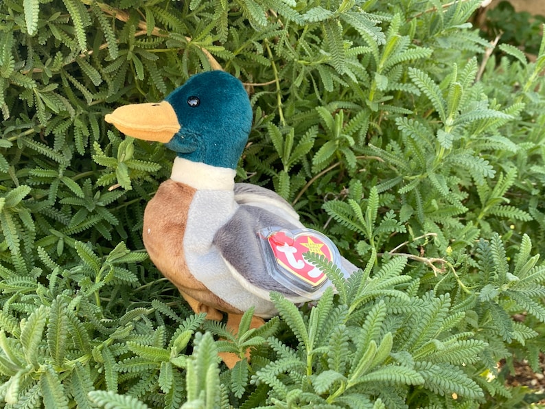 Ty Beanie Babies Jake,the Duck,collectible Beanie Baby,1997 - Etsy