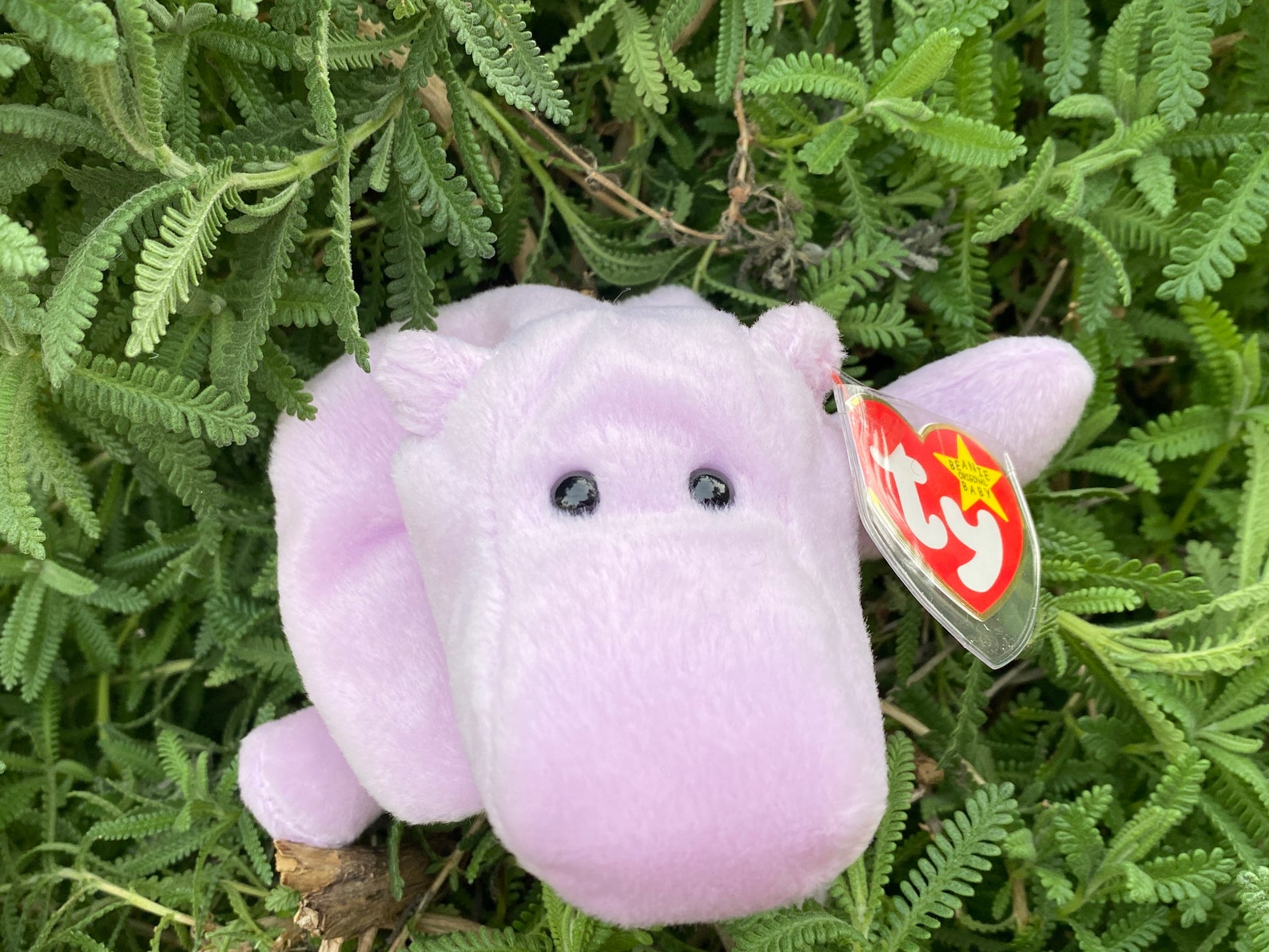 Ty Beanie Babies Happy the Hippocollectible Beanie - Etsy