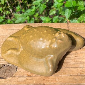 Old Rip the Horned Horny Toad Lizard House of Webster Ceramics Souvenir ...