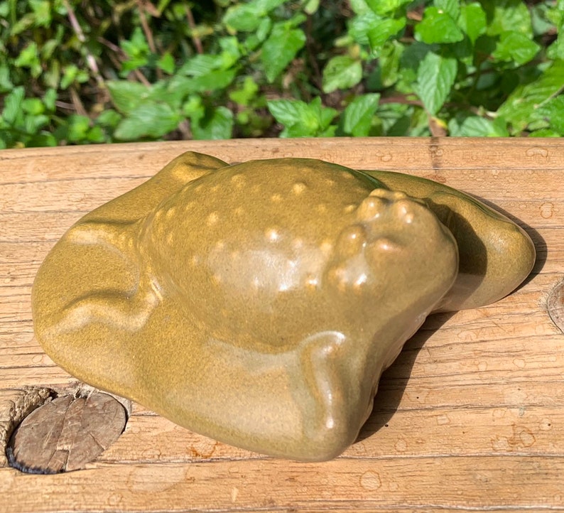 Old Rip the Horned Horny Toad Lizard House of Webster Ceramics | Etsy