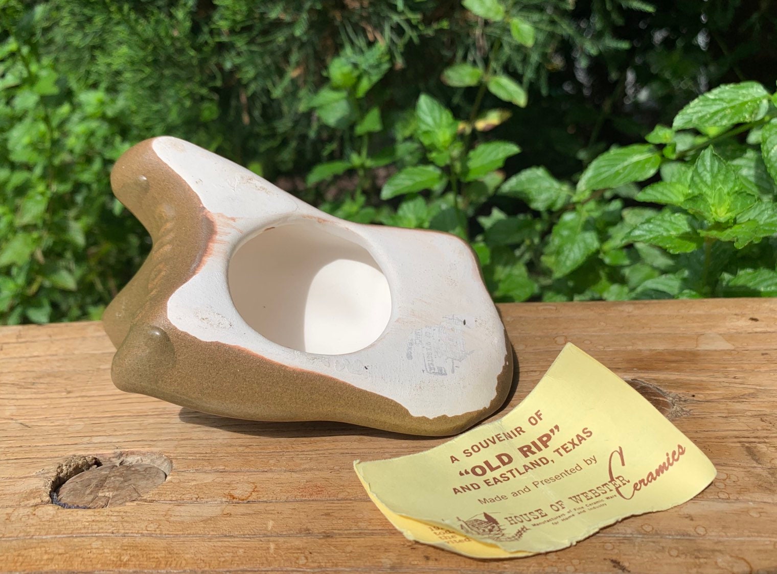 Old Rip the Horned Horny Toad Lizard House of Webster Ceramics | Etsy