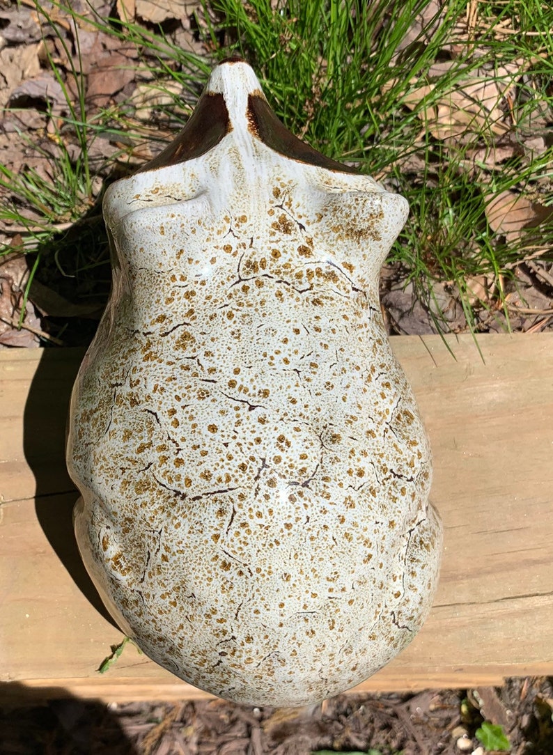 Large 6 Pigeon Forge Pottery D Ferguson Raccoon Figurine | Etsy